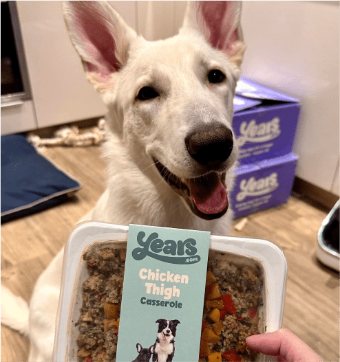 Read Our 5-Star Dog Food Reviews UK | Trusted by Dog Parents