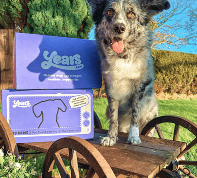 Fresh Dog Food Subscription & Delivery – Years.com