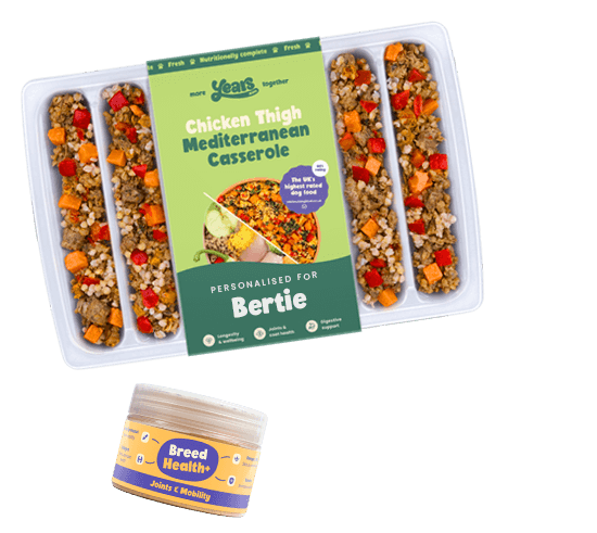 Fresh Dog Food Subscription & Delivery – Years.com