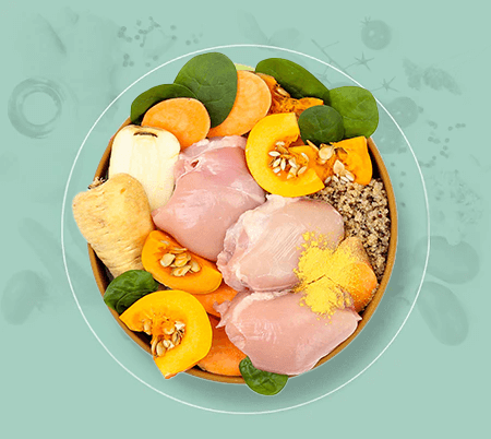Fresh Dog Food Subscription & Delivery – Years.com