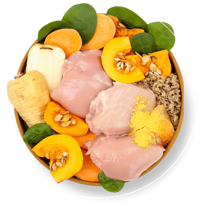 Fresh Dog Food Subscription & Delivery – Years.com