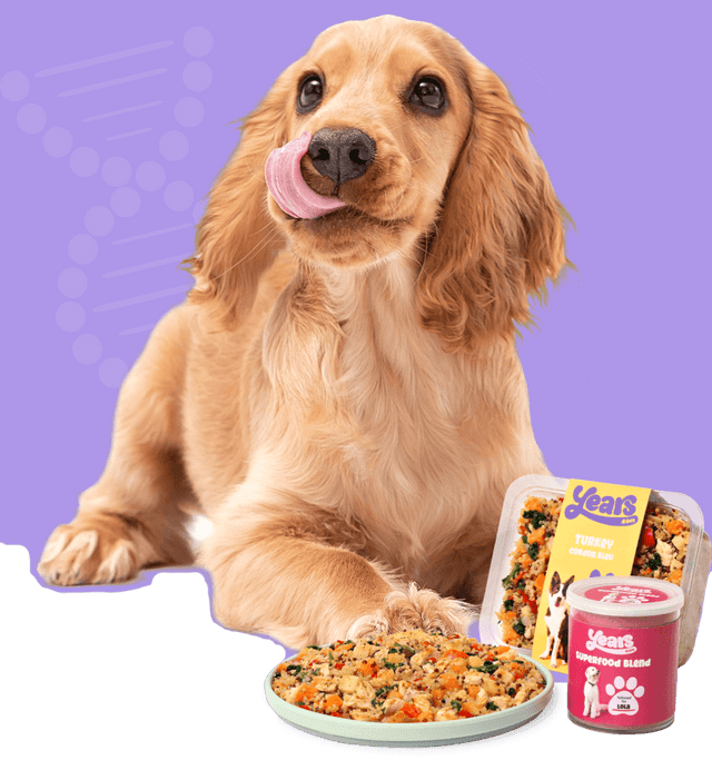 Fresh Cooked Meals for Dogs | Nutritionally Complete Dog Food