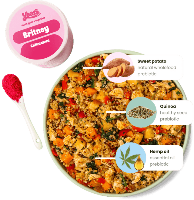Fresh Dog Food Subscription & Delivery – Years.com